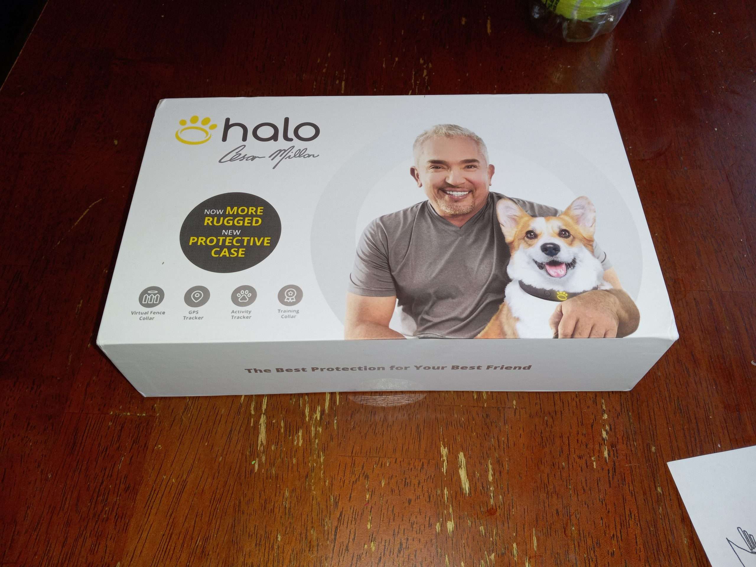My 3 Month Halo Collar Review Webwej My 3 Month Halo Collar Review Webwej